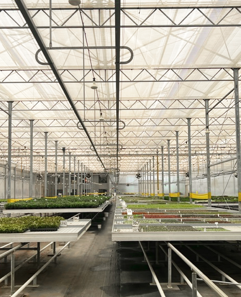 PowerPlants